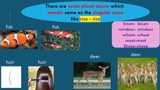 3. PPT- Cl 2 Singular Plural noun Part 1.pptx
