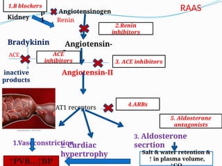 3. Renin angiotensin aldosterone mechanism | PPTX