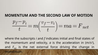 3.pptxkmkfklgoirjoisjflkrkfmcmkjkdsjfkdjkjggkl | PPT