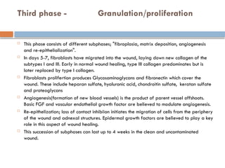 3. Wound healing-1.pptx process of healing | PPTX