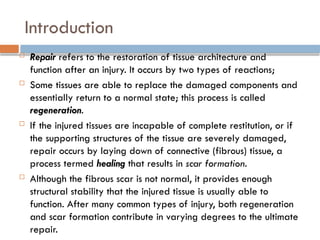 3. Wound healing-1.pptx process of healing | PPTX