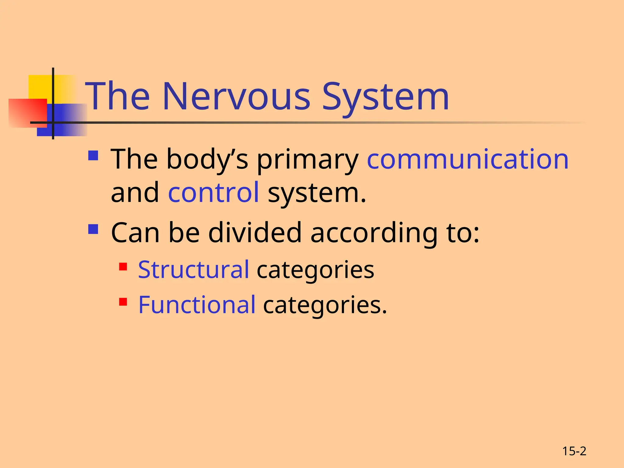 Nervous system human anatomy types and properties | PPT