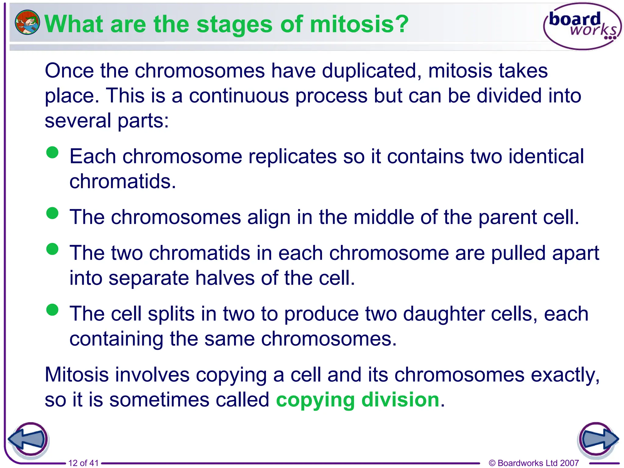 3. Cell Division v1.0.ppt boardworks powerpoint | PPT