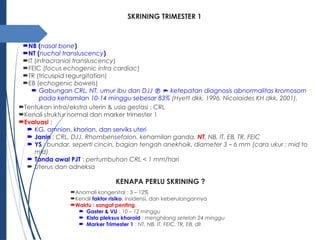 3.e USG Obstetri trimester 1 patologi 2.pptx