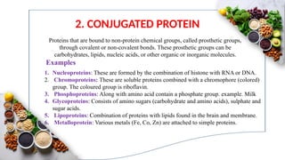 Protein Biochemistry Departments............ | PPTX