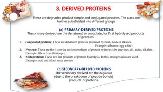 Protein Biochemistry Departments............ | PPTX