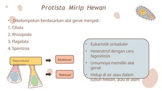 Materi Biologi kelas SMA 10 PROTISTA.pptx