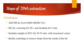 DNA extraction, detection of genetic variations | PDF
