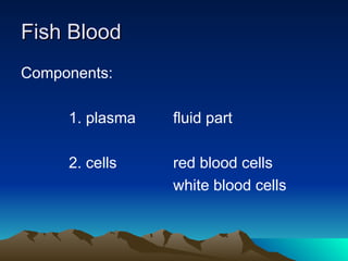 3.-Fish-Anatomy-Respiratory-Reproductive (1).ppt