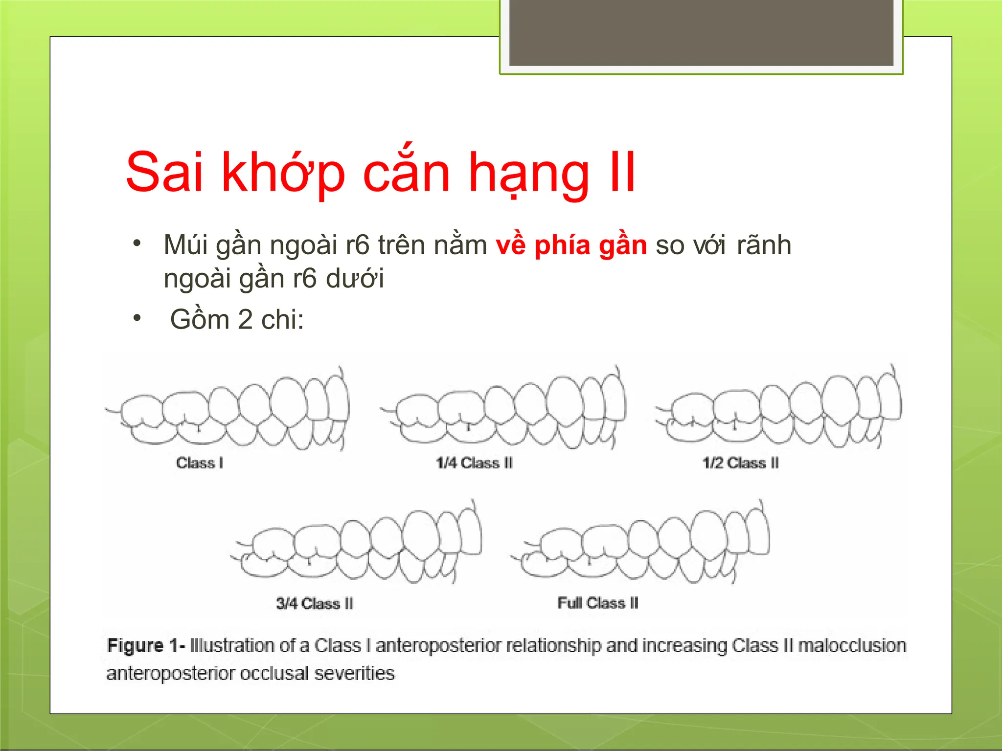 year 5 dental facial orthopedics chinh hinh rang mat | PPTX