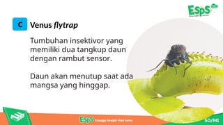 3. PPT IPAS 6 Ciri-ciri Khusus Makhluk Hidup [modulguruku.com].pptx