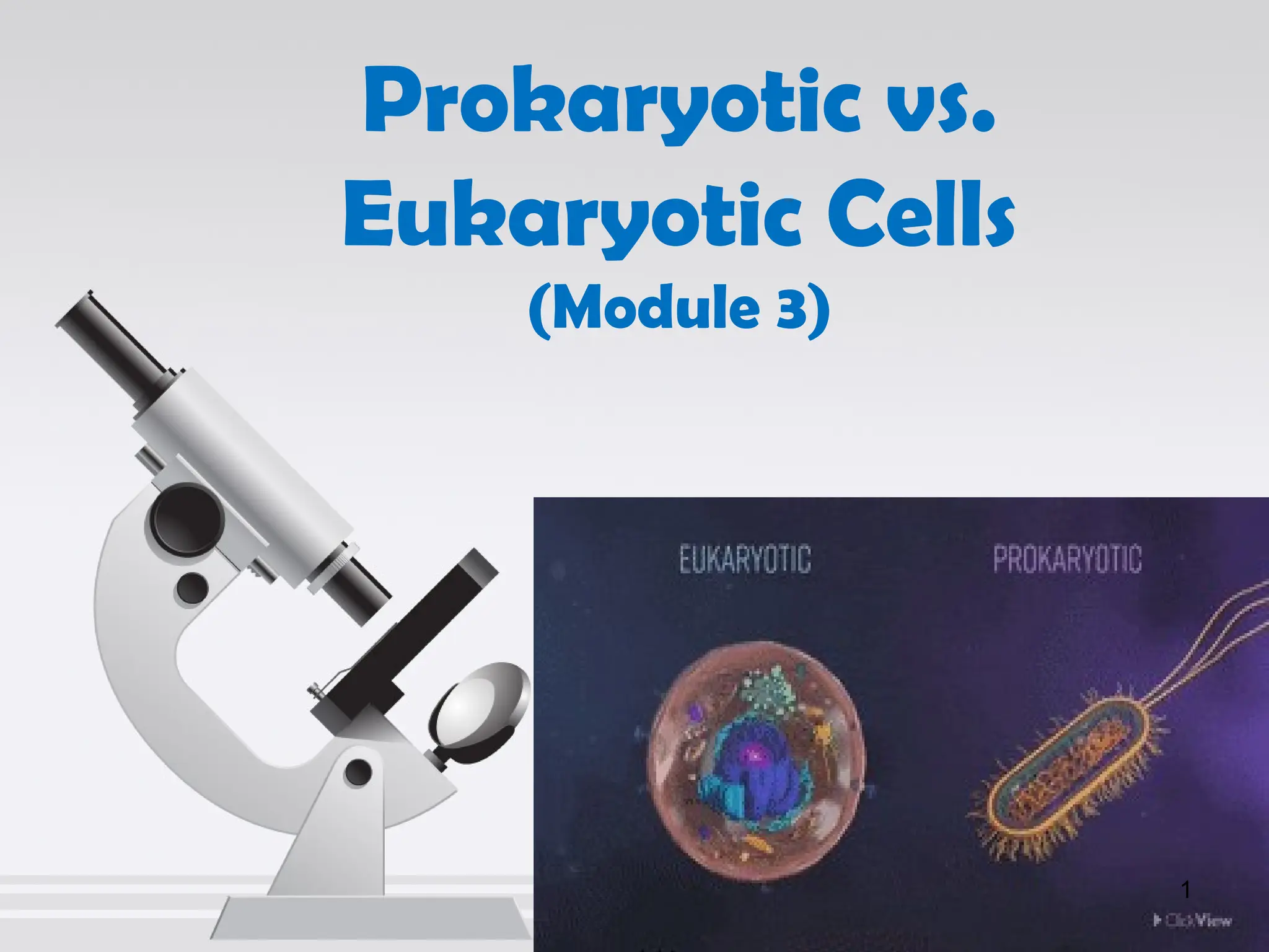 3. Prokaryotic vs. Eukaryotic Cells.pptx