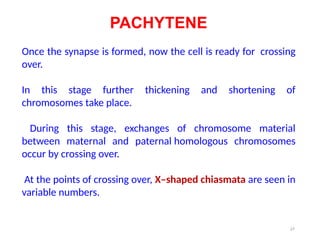 3. Cell Division_Mitosis-Meiosis and all stages.pptx