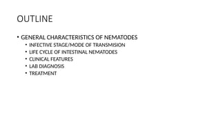 Human Intestinal Nematode Infections.pptx