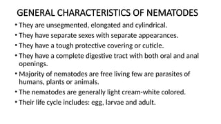 Human Intestinal Nematode Infections.pptx