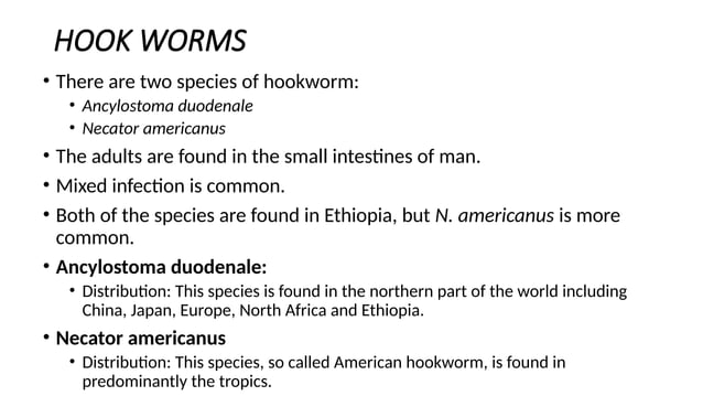 Human Intestinal Nematode Infections.pptx