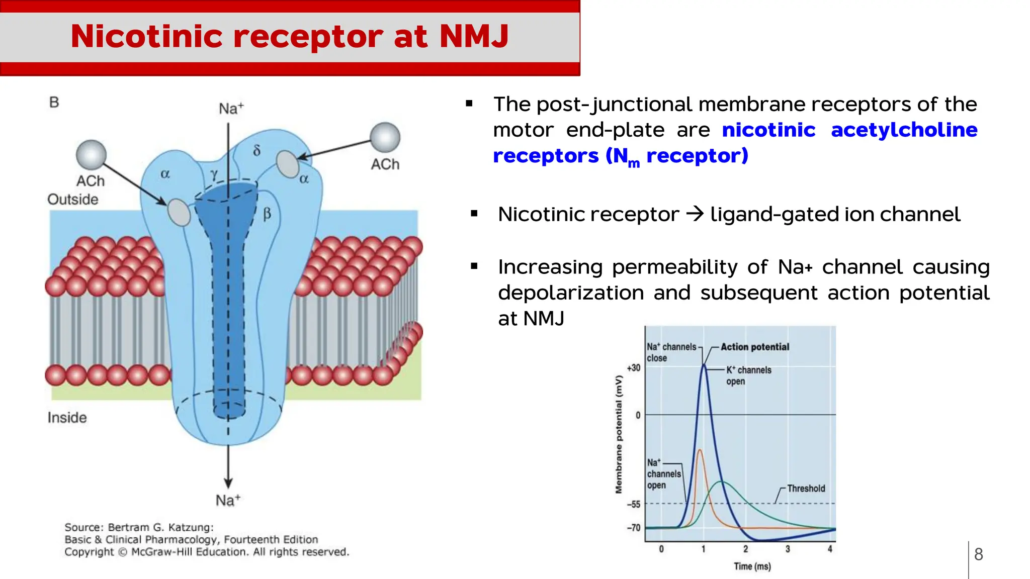 เธ เธ—เธ—เธตเน 3.2 NMJ Blocker receptor.pdf