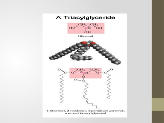 Biokimia Biosintesis biomolkeul Lipid.pptx