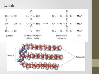 Biokimia Biosintesis biomolkeul Lipid.pptx