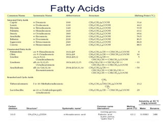 Biokimia Biosintesis biomolkeul Lipid.pptx