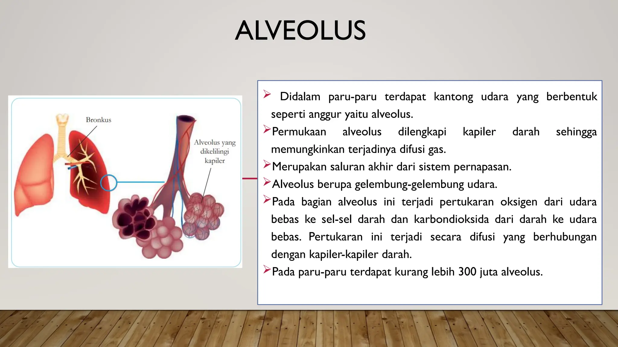 (3. Sistem Pernapasan Manusia) Struktur dan fungsi tubuh manusia (1).pptx