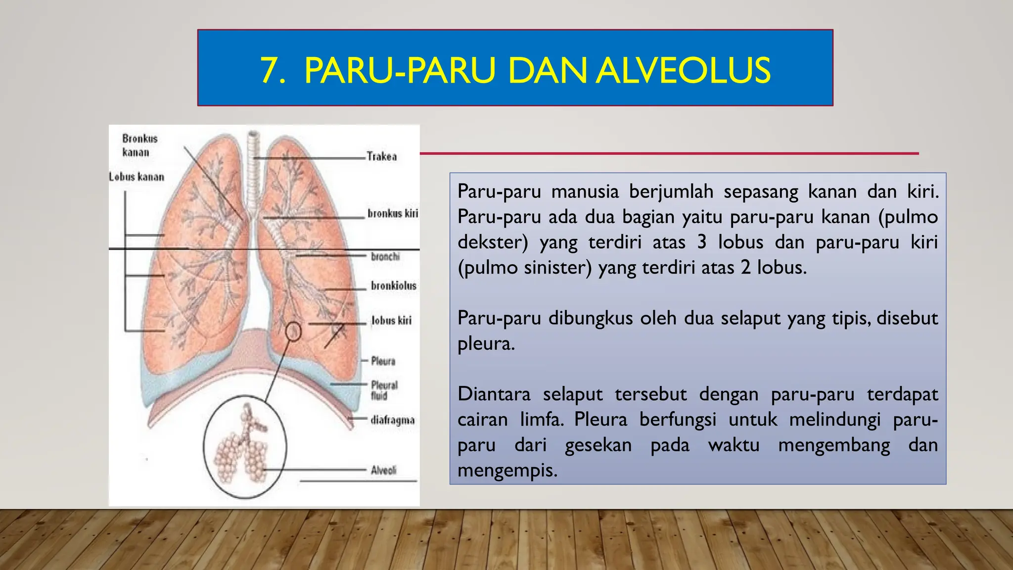 (3. Sistem Pernapasan Manusia) Struktur dan fungsi tubuh manusia (1).pptx