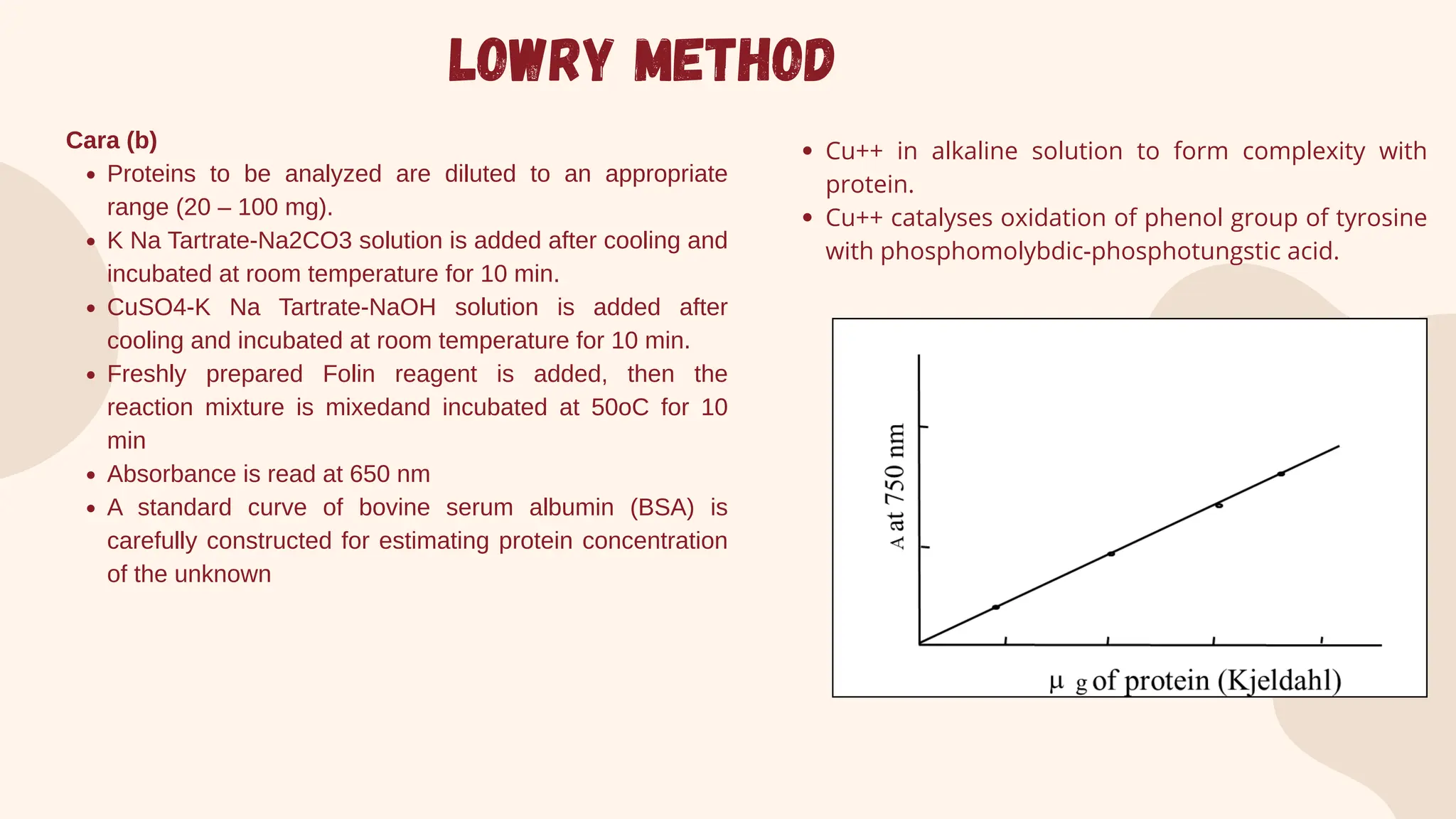 3. makronutrian PROTEIN ANALYSIS fix.pdf