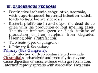 3. necrosis.pptxnecrosis .necrosistype of pathology | PPTX