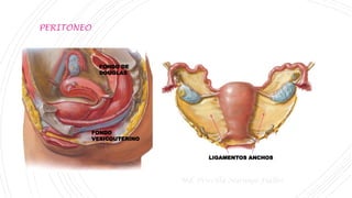 3. Anatomia de Ovario y Utero con todas sus características.pdf
