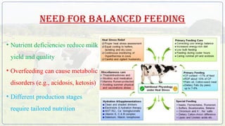 Balanced Feeding Diet of Dairy Animals.pptx