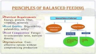 Balanced Feeding Diet of Dairy Animals.pptx