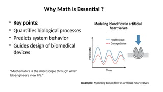 Mathematics used in Bioengineering.pptx