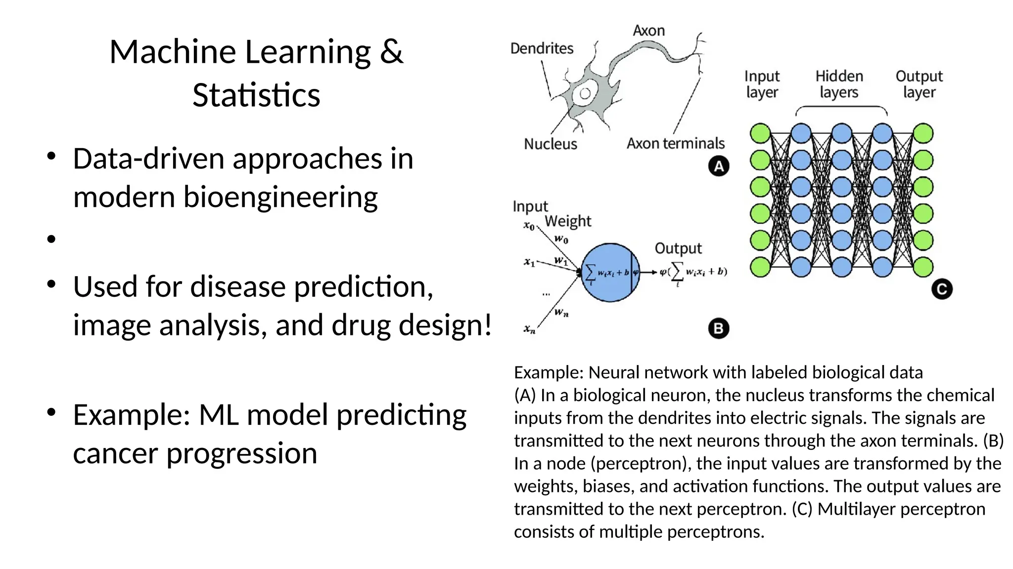3.Mathematics and Bioengineering with examples.pptx