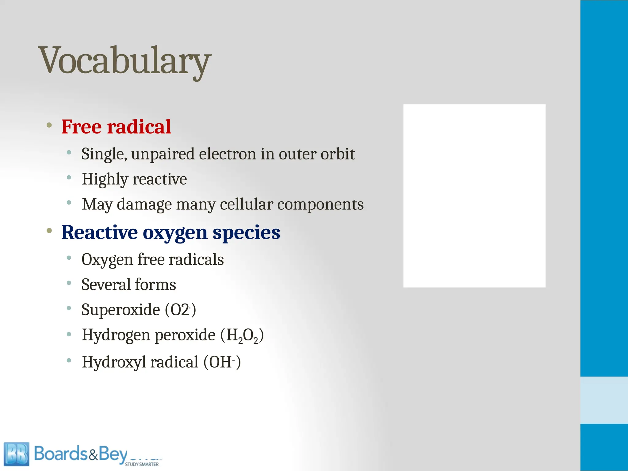 3. Free radicals.pptx sdfafafafafafafafaaf | PPTX