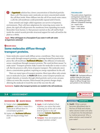 diffusion_and_osmosis biology for undergraduate | PDF