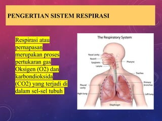 3. Anatomi dan fisiologi sistem Respirasi.pptx