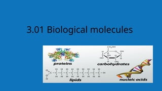 Biological molecules BIOLOGY FOR STUDYpptx | PPTX