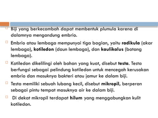3. Materi Fisiologi Pohon_Proses Pertumbuhan.pptx