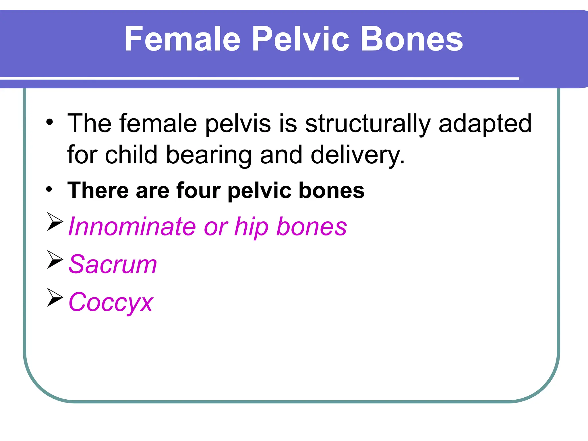 Anatomy of female pelvis and fetal skull.GYN OBS.pptx