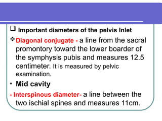 Anatomy of female pelvis and fetal skull.GYN OBS.pptx