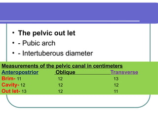 Anatomy of female pelvis and fetal skull.GYN OBS.pptx