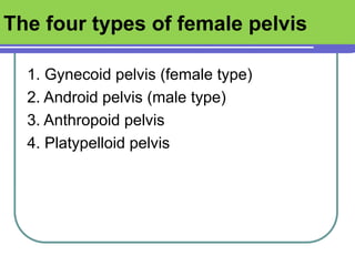 Anatomy of female pelvis and fetal skull.GYN OBS.pptx