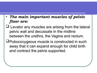 Anatomy of female pelvis and fetal skull.GYN OBS.pptx