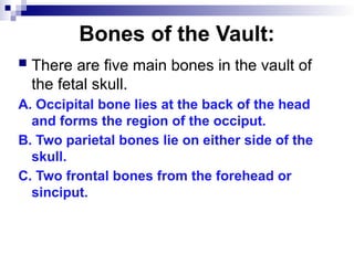 Anatomy of female pelvis and fetal skull.GYN OBS.pptx