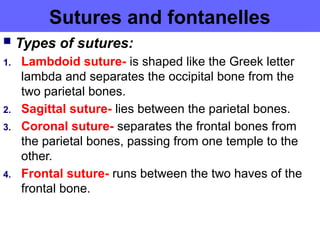 Anatomy of female pelvis and fetal skull.GYN OBS.pptx