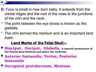 Anatomy of female pelvis and fetal skull.GYN OBS.pptx