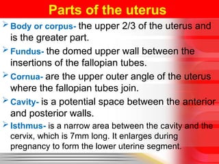 Anatomy of female pelvis and fetal skull.GYN OBS.pptx
