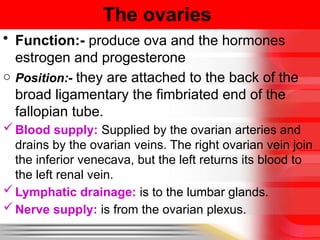 Anatomy of female pelvis and fetal skull.GYN OBS.pptx