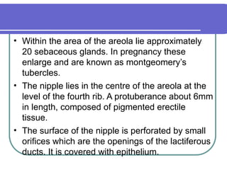 Anatomy of female pelvis and fetal skull.GYN OBS.pptx