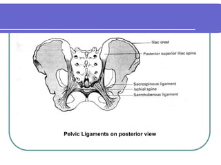 Anatomy of female pelvis and fetal skull.GYN OBS.pptx